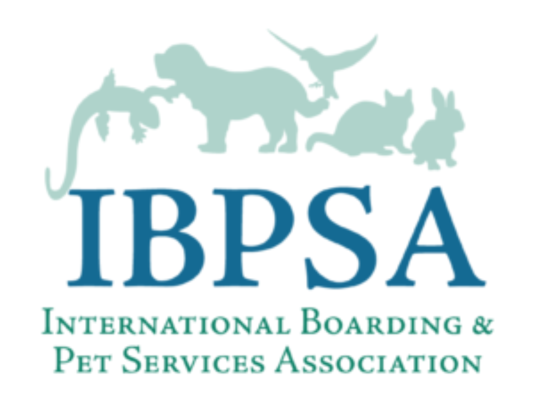 1.5 CEU Team Building Best Practices - Pet Tech - PACCC: Professional ...
